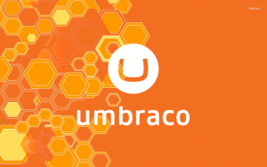 Best ASP.NET Hosting Review for Umbraco 7.2.2 – The Best and Cheap Windows ASP.NET Hosting Review